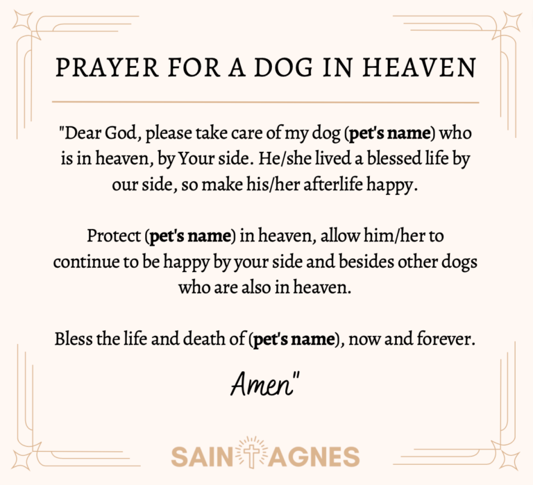 7 Prayers for a Dog Who Died and Dog in Heaven