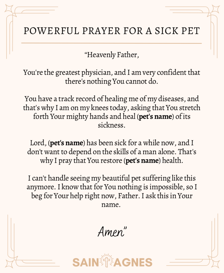 7 Miracle Prayers For Sick Pet: Sick Dog, Cat And More