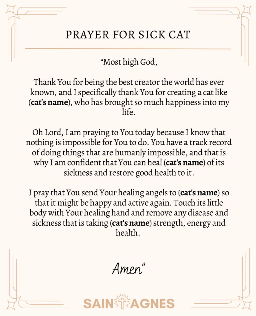 7 Miracle Prayers For Sick Pet Sick Dog Cat And More