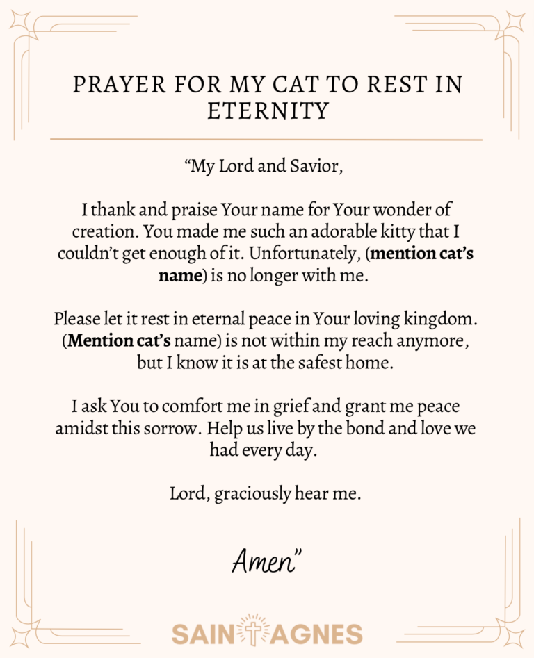 5 Prayers for the Loss of a Cat - Guide Him to Heaven!